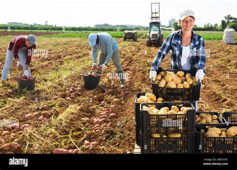 Digging Crates Hi Res Stock Photography And Images Alamy