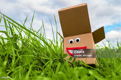 이모티콘 푸른 잔디 위에 얼굴이 있는 골판지 상자 미소를 보냅니다 상자는 환경 친화성에 만족합니다 분해성 재료로 만든 포장재 자연에 해를 끼치 지 않습니다 개념에 대한 스톡
