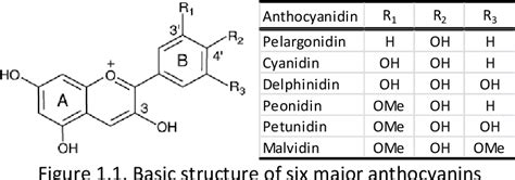Figure 1 1 From Potential Influence Of Blueberry And Black Raspberry Pomace Phenolics On