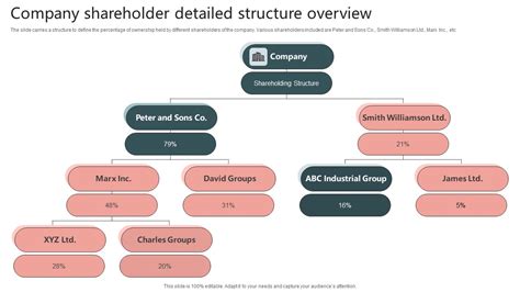 Company Shareholder Detailed Structure Overview Elements Pdf