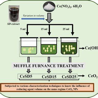Mechanism Of A Green Synthesis Of The CeO2 Via Phytochemical Gallic Download Scientific