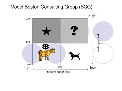 Bcg Matrix