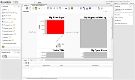 NF Chart Fields IDempiere En