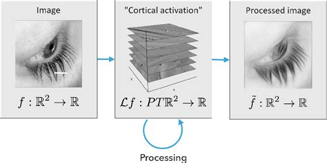 Cortical Inspired Image Reconstruction Via Sub Riemannian Geometry And Hypoelliptic Diffusion