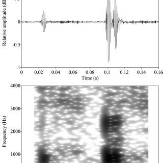 Oscillogram Above And Sound Spectrogram Below Of The Male Download Scientific Diagram