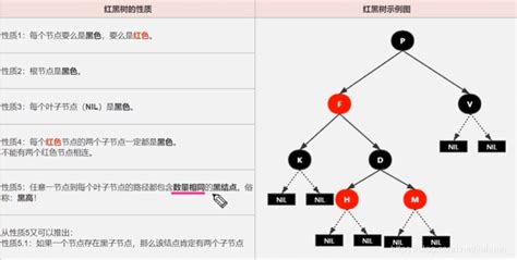 数据结构中常见的各种树原理详解（学习笔记）树操作的基本原理 Csdn博客
