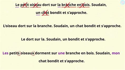 Le groupe nominal c est quoi Pour CM1 CM2 Maître Lucas