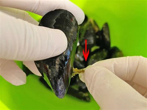 연말연시 홈파티용 새우 홍합크림스튜 만드는 법