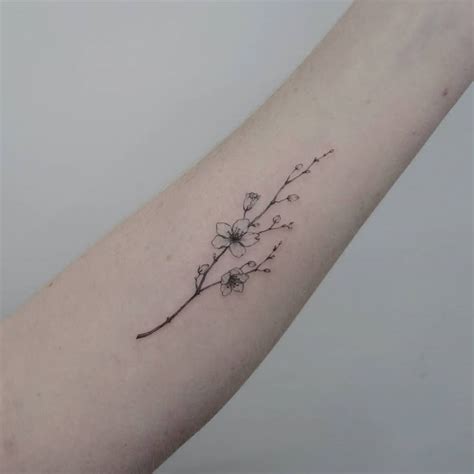 Branch Tattoo Blossom Tattoo Tattoos