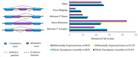 Distribution Of Various Alternative Splicing Events In The