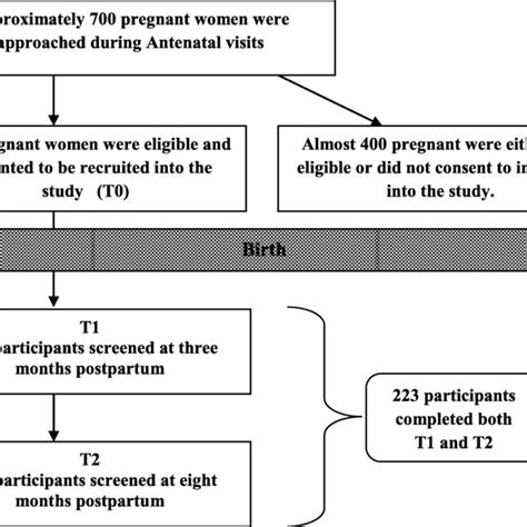 A Flow Chart Illustrating The Follow Up Process Download Scientific