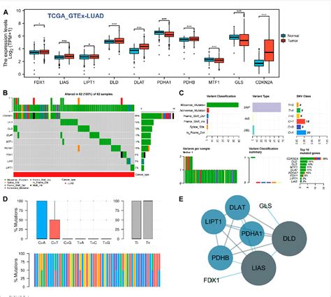 Figure 1 From Comprehensive Bioinformatics Analysis To Identify A Novel Cuproptosis Related