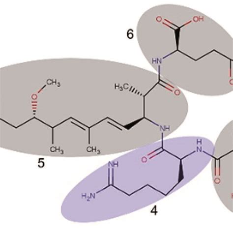 Structure Of Microcystin Lr Variants Differ With Respect To The