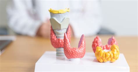 5 Powerful Natural Strategies To Revitalize Your Thyroid Health Dr