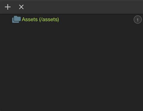 Unable To Create Asset Folder Bugs Wappler Community