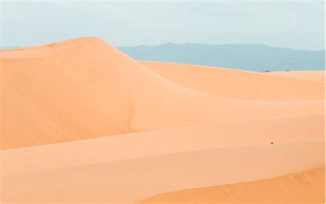 Paradise Adicora — Paradise Hotels