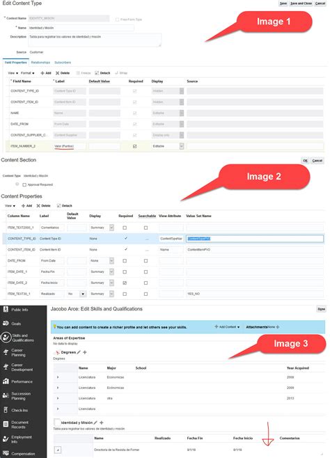 How To Add A Custom Numeric Field From Content Type To Skills And