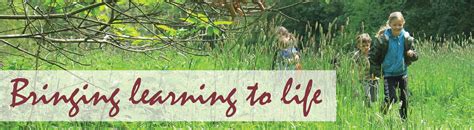 Authentic Learning Environment Home