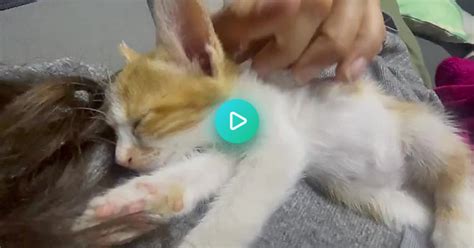 Mini Motor Album On Imgur