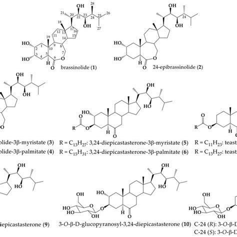Structure Of Natural Occurring Brassinolide 1 24 Epibrasinolide 2 Download Scientific