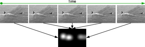 Figure 1 From Relational Entropy Based Saliency Detection In Images And Videos Semantic Scholar
