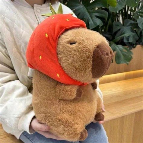 Cute Capybara Plush Wear Strawberry Hat Kawaii Capibara Stuffed Aniamls
