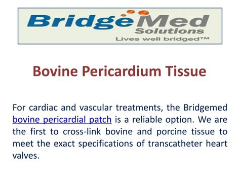 Ppt Bovine Pericardium Tissue Powerpoint Presentation Free Download