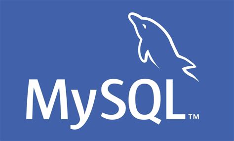 18 key points you must know when creating tables in mysql dev community