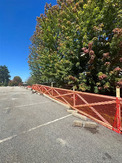 Barrier Tree Barrier Protection Fencing Surrey