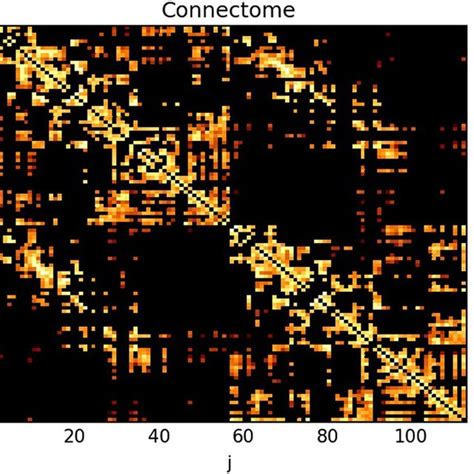 representation of the adjacency matrix of the connectome for a network