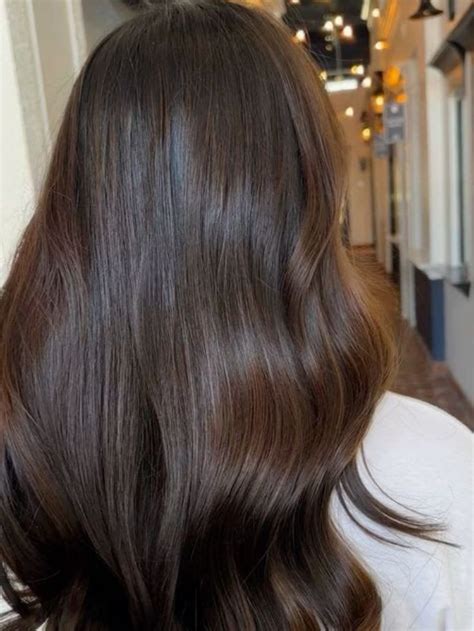 Dark Brown Dye Your Summer Options Dark Brown Toned Hair Warm
