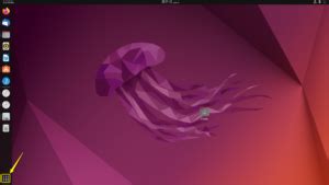 How To Install And Run AppImage On Ubuntu LinuxWays