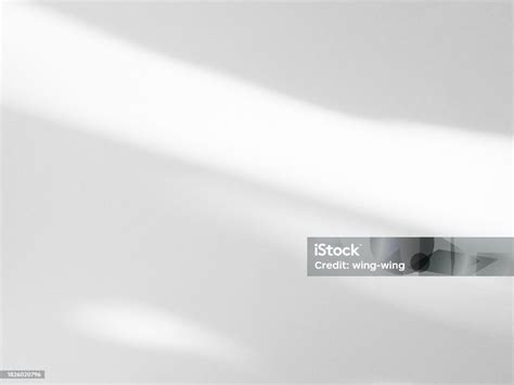 그림자 배경 효과 오버레이 잎 회색 바닥 벽 프레임 그늘 흐림 남대 나무 여름 식물 자연 잎 태양 빛 화이트 최소 장면 대리석 추상 템플릿 텍스처 3d Bg 모형 단일