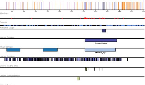 Databases And Resources For Proteome Level Ptm Information University