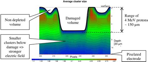 Detail Of Distribution Of Average Cluster Size In The Vertical Plane Download Scientific