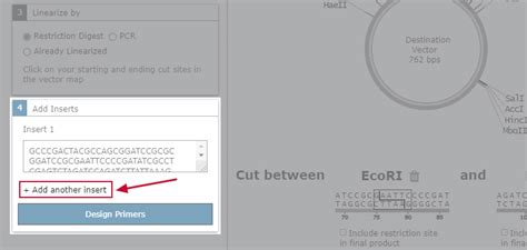 Its A Snap 9 Considerations For Easy Multi Fragment Cloning