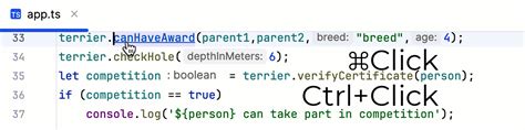 TypeScript IntelliJ IDEA Documentation