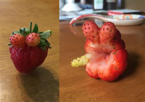 This Strawberry R Mildlyinteresting