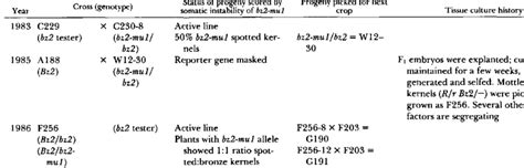 Genealogy Of The Active Mutator Stocks Download Table