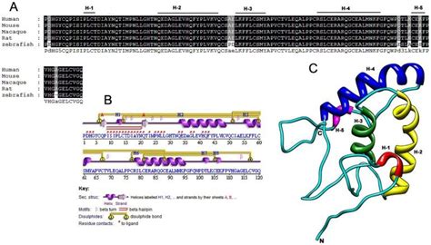 conservation of a frizzled 1 crd sequence in human compared with the