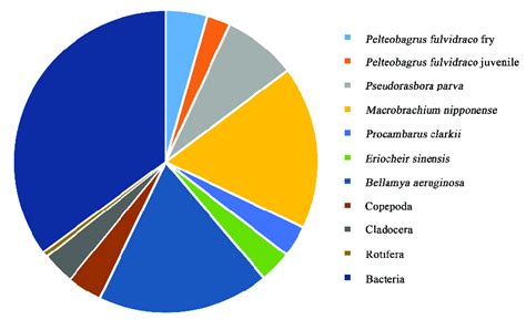 Proportion Of Energy Throughput Consumption Download Scientific Diagram
