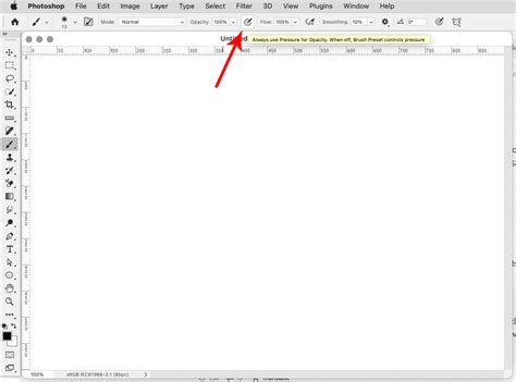 Random 100 Brush Opacity Adobe Community 13804516