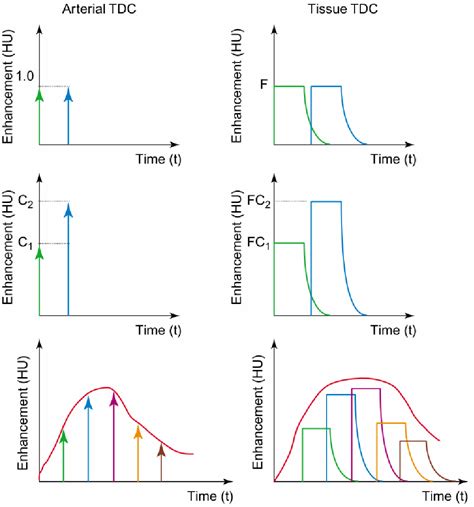 Figure 1 1 From Applications Of Ct Perfusion Based Triaging And Prognostication In Acute