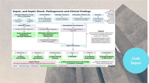 Sepsis And Septic Shock Pathogenesis And Clinical Findings By David Ayon On Prezi