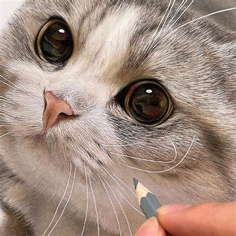 Artist Draws Incredibly Realistic Cat Faces Youll Want To Reach Out And Touch Realistic Cat