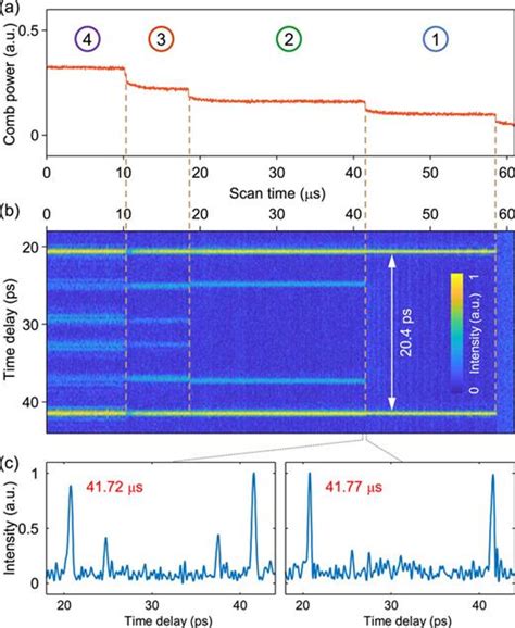Ultrafast Dynamic Rf Spectrum Investigation Of Soliton Microcombs Apl