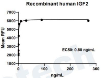 Human Igf2 人源胰岛素样生长因子Ⅱ 重组人胰岛素样生长因子Ⅱ