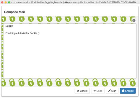 Rookie How To Send Encrypted Emails
