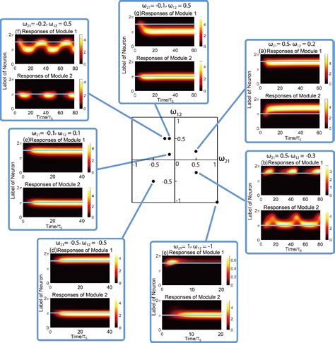 Figure 3 From Bimodular Continuous Attractor Neural Networks With Static And Moving Stimuli