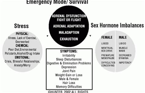 Stress And The Subluxation Dynamic Chiropractic